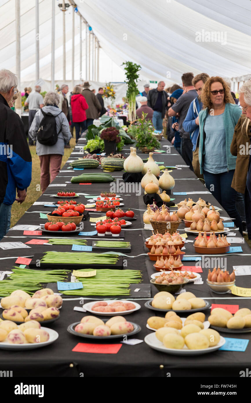 Prize vegetable show uk hi-res stock photography and images - Alamy