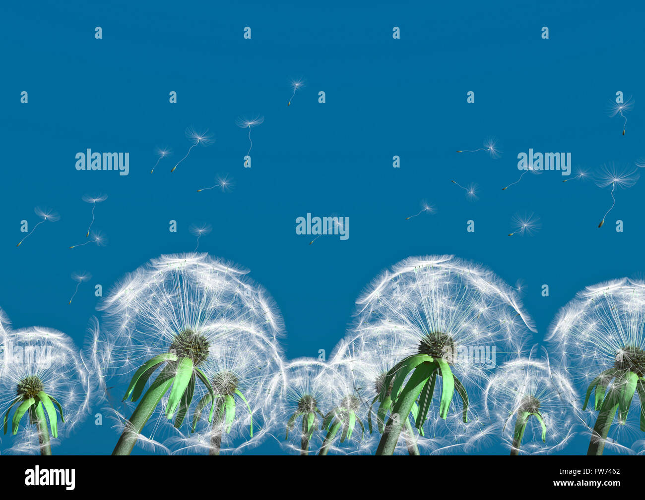 CG dandelions / 3D render of dandelions Stock Photo - Alamy