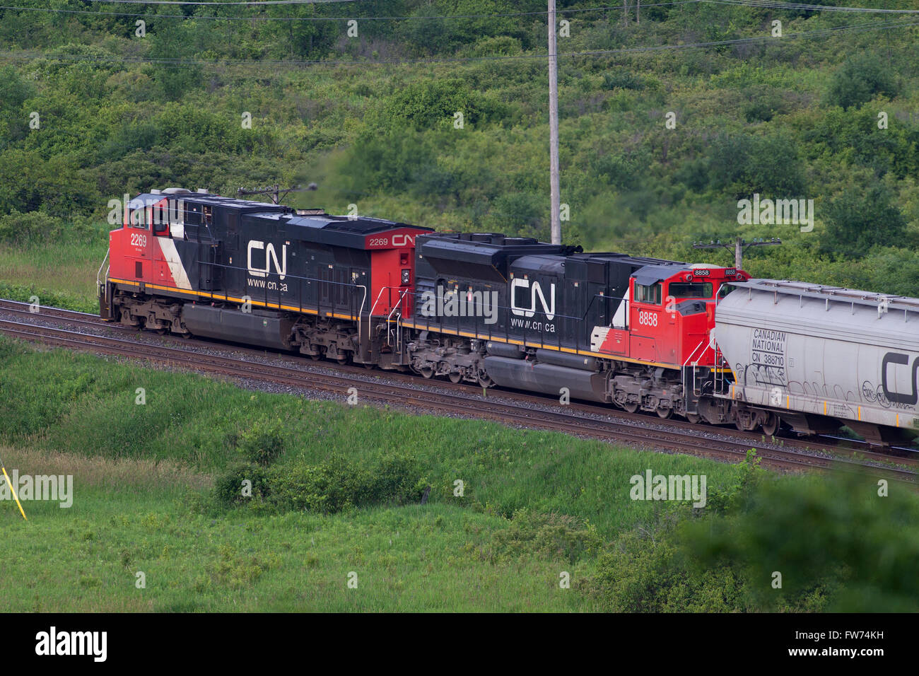 A CN cargo train pass near Kingston Ont., on Tuesday June 23, 2015 ...