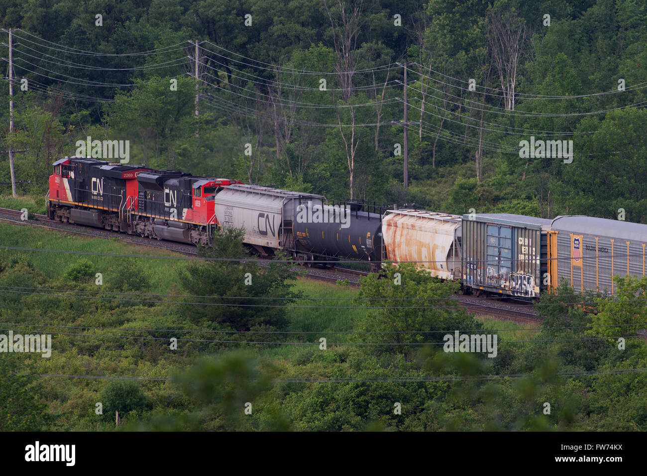 A CN cargo train pass near Kingston Ont., on Tuesday June 23, 2015 ...