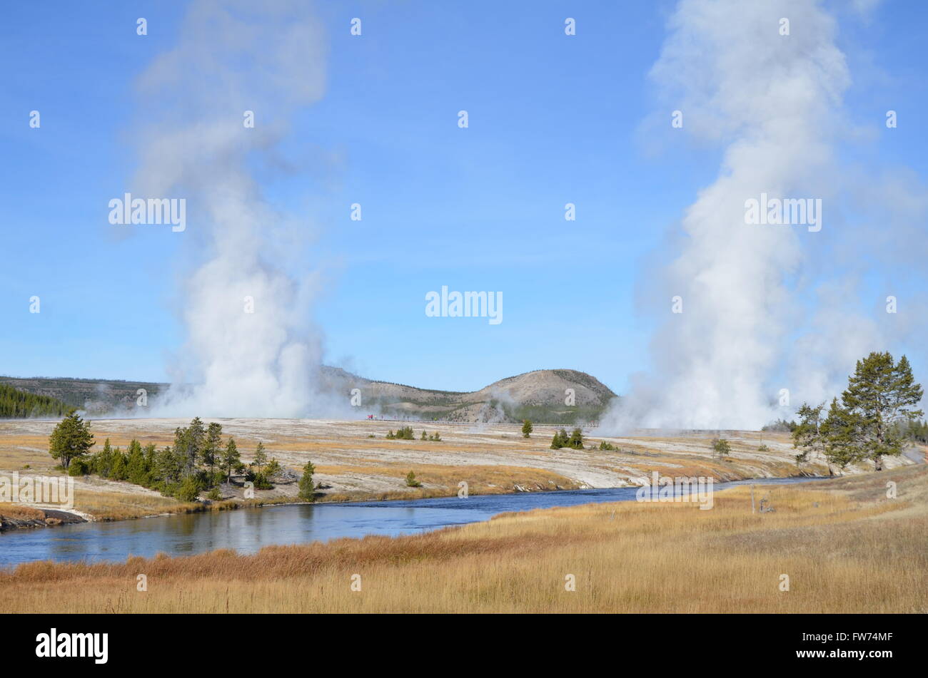 A view of some geysers in Yellowstone National Park Stock Photo - Alamy