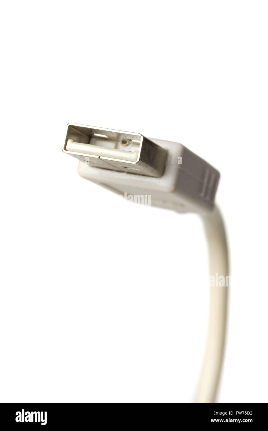 detail of a computer plug isolated on white background Stock Photo - Alamy
