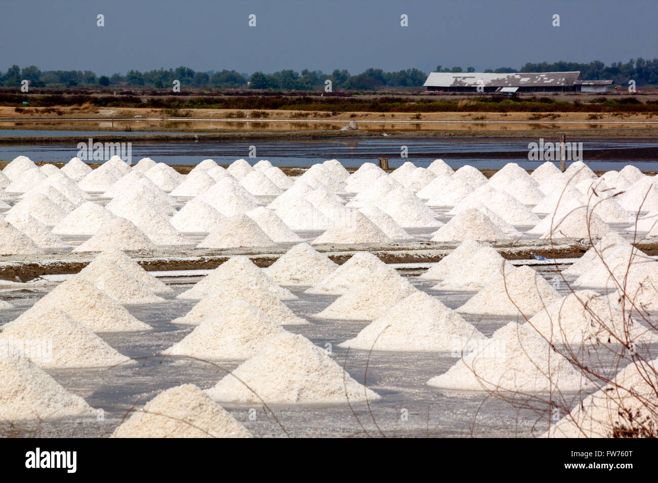 Bring together the salt pile. Salt production in a natural way by ...