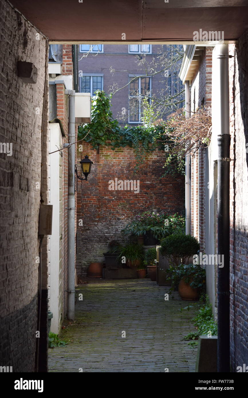Dutch house garden backyard hi-res stock photography and images - Alamy