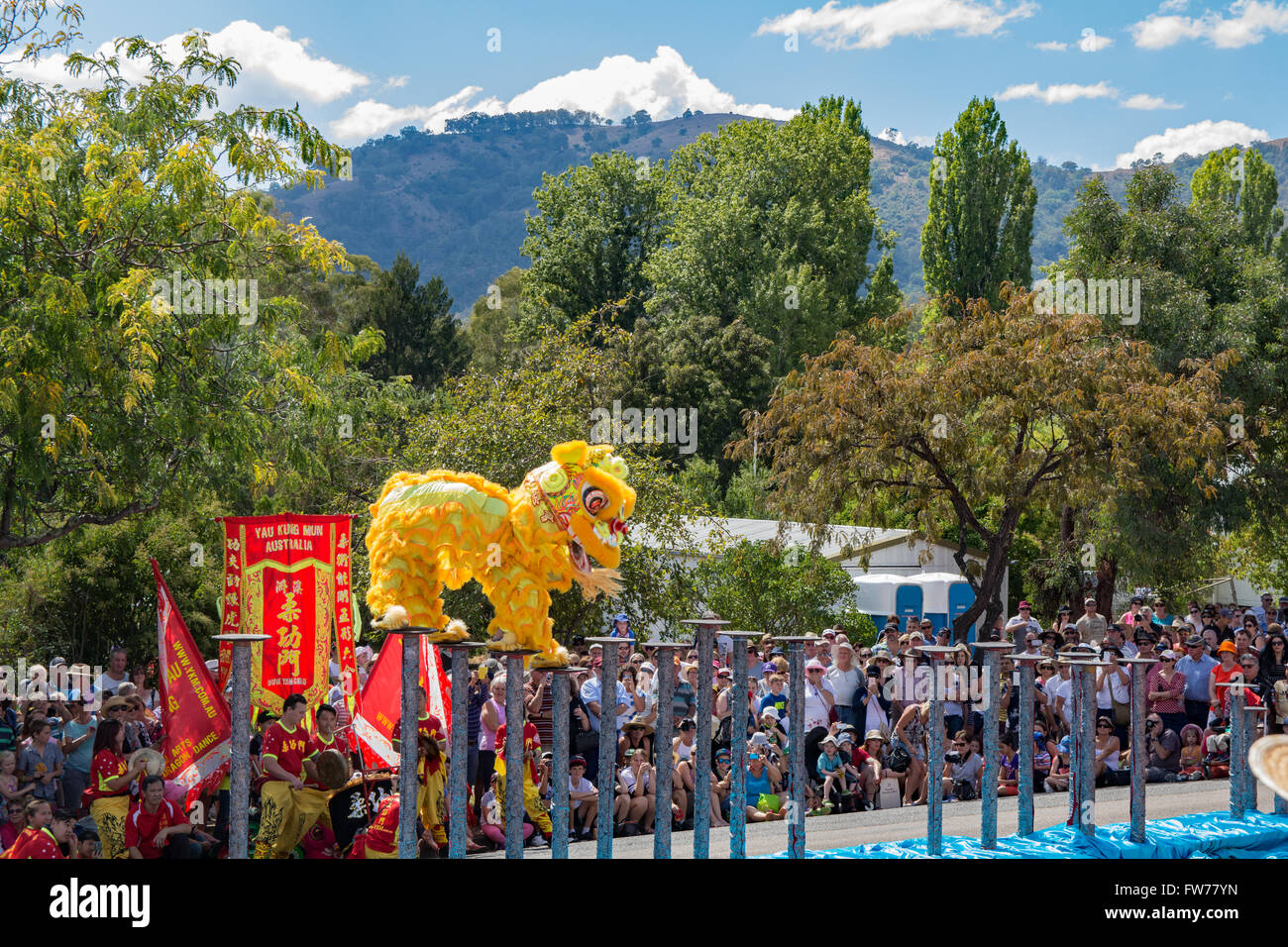 Chinese dancing dragon performing on poles at Nundle Australia Easter ...