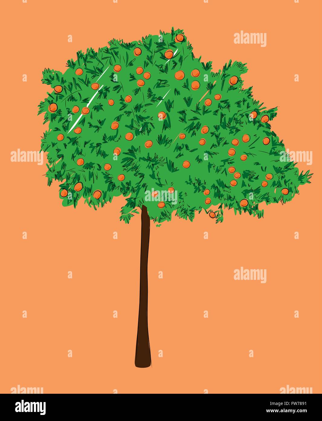An orange tree isolated on a background. Hand-drawn sketch. Art vector ...
