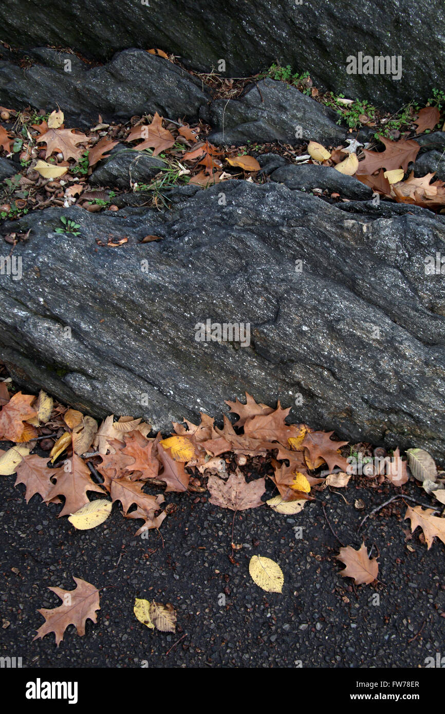Twigs on ground hi-res stock photography and images - Alamy