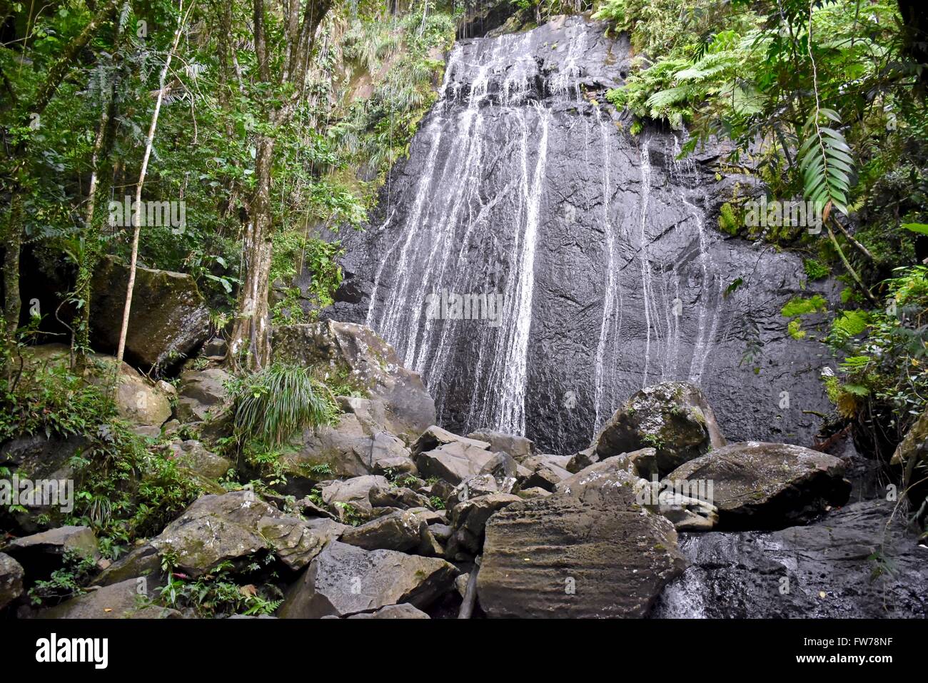 Puerto Rico waterfall Stock Photo - Alamy