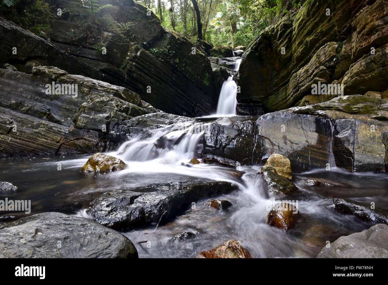 Puerto Rico National rainforest waterfall Stock Photo - Alamy