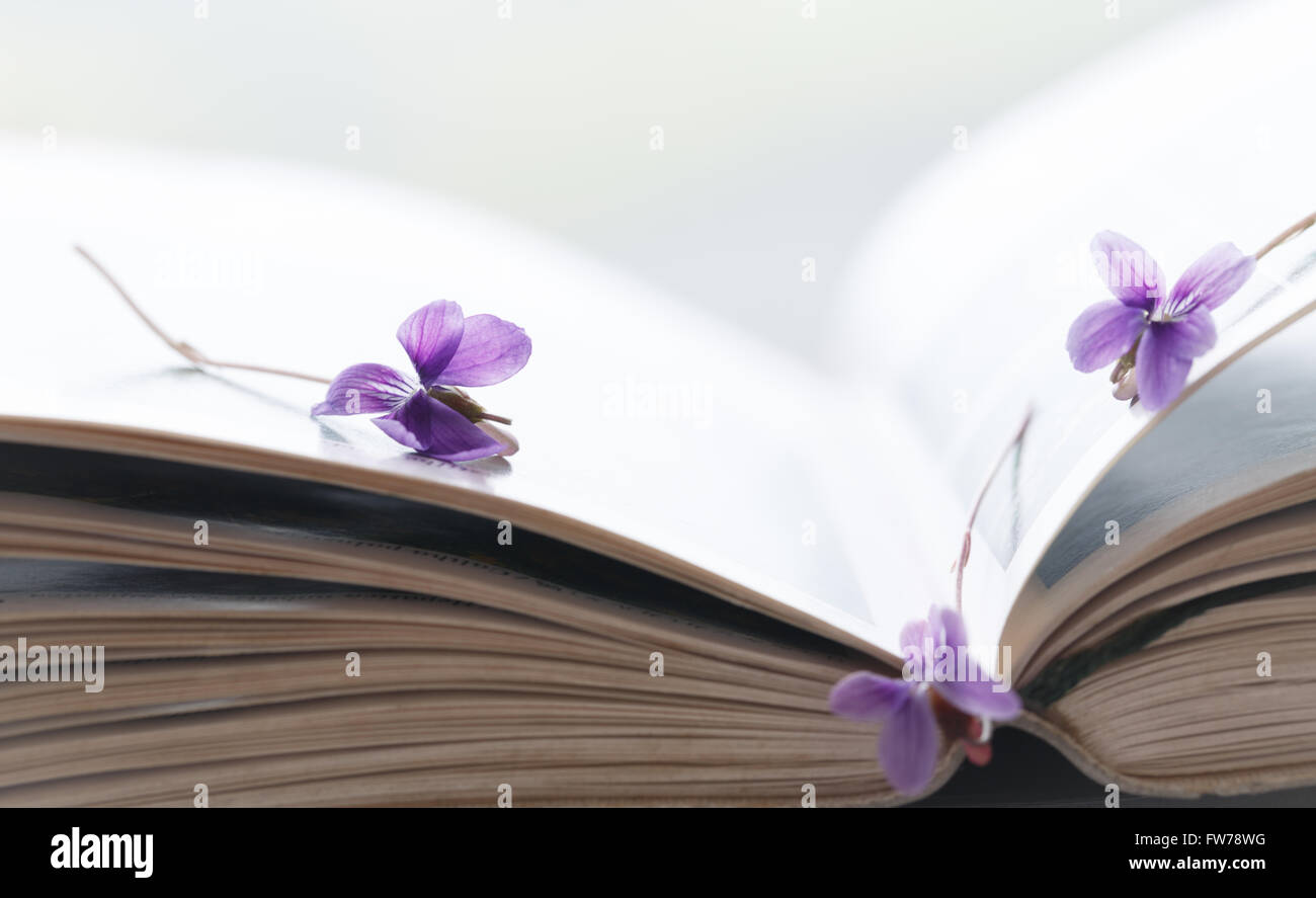 Violet and open book, art background Stock Photo - Alamy