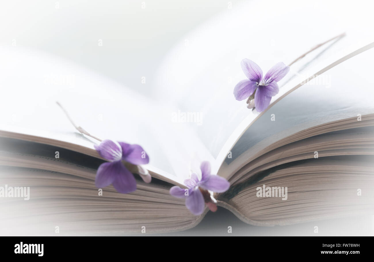 Violet and open book, art background Stock Photo - Alamy