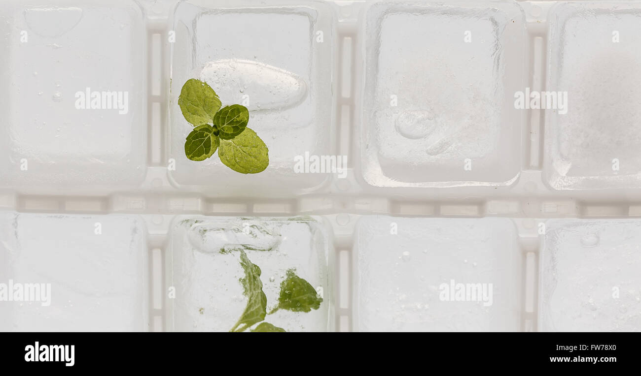 ice-making box filled with ice Stock Photo - Alamy