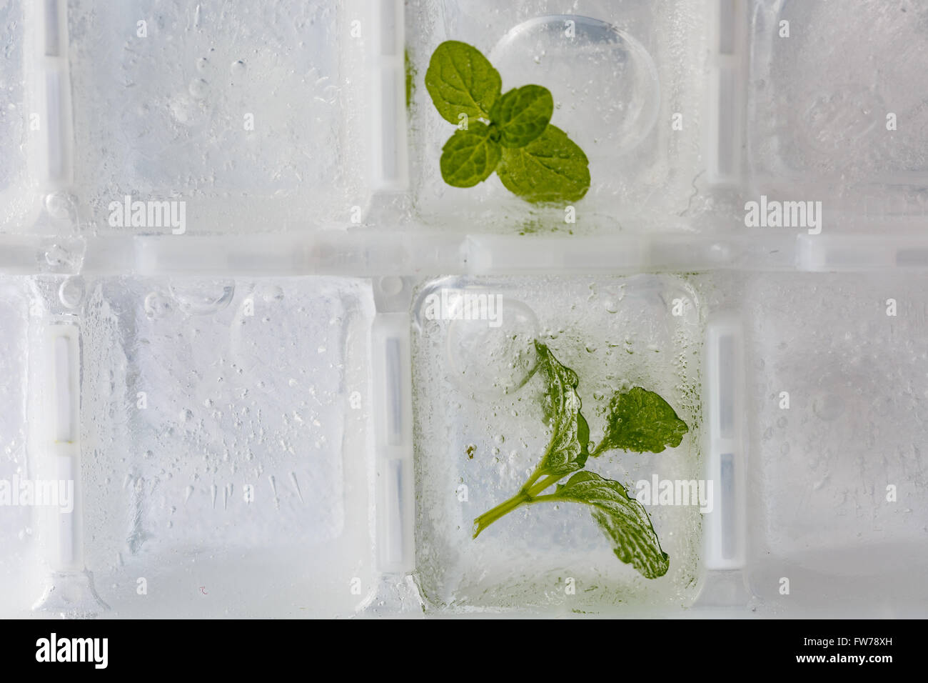 ice-making box filled with ice Stock Photo - Alamy