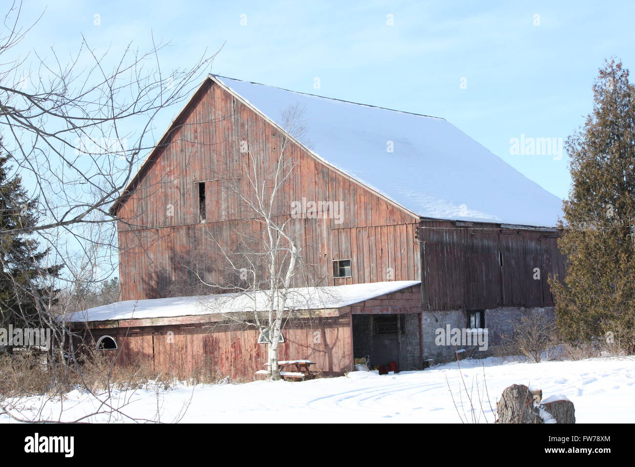 Large, old, faded barn with snow covering the roof and ground Stock ...