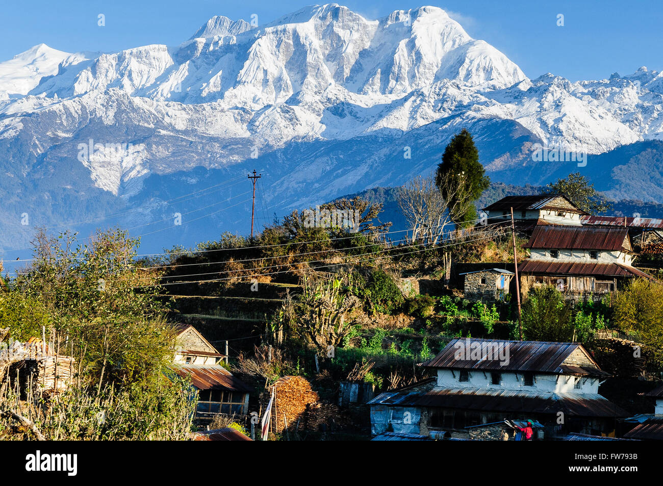 Beautiful village of Ghalegaun situated in the lap of majestic Stock ...