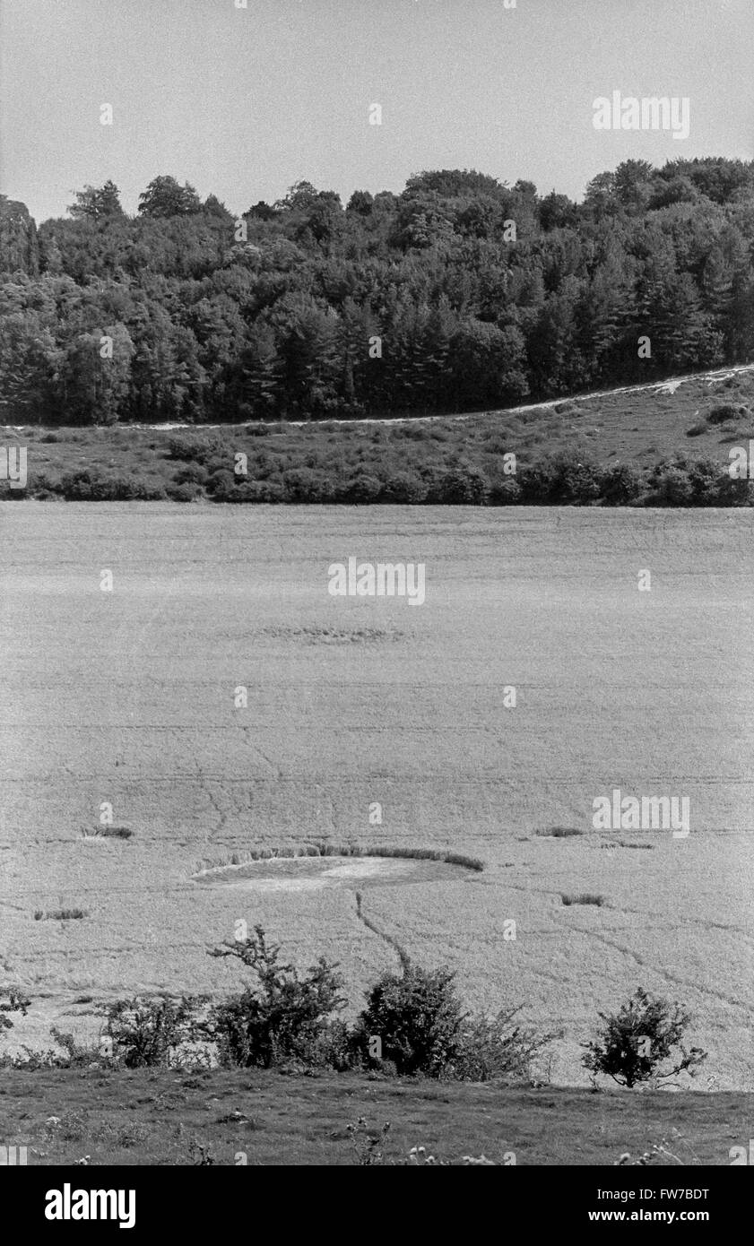 Crop circles Black and White Stock Photos & Images - Alamy