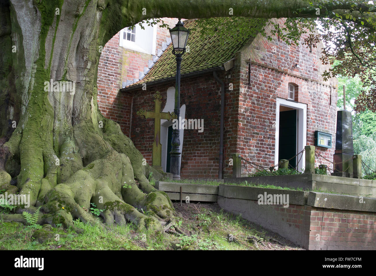 overgrown old tree on cemetery Stock Photo - Alamy