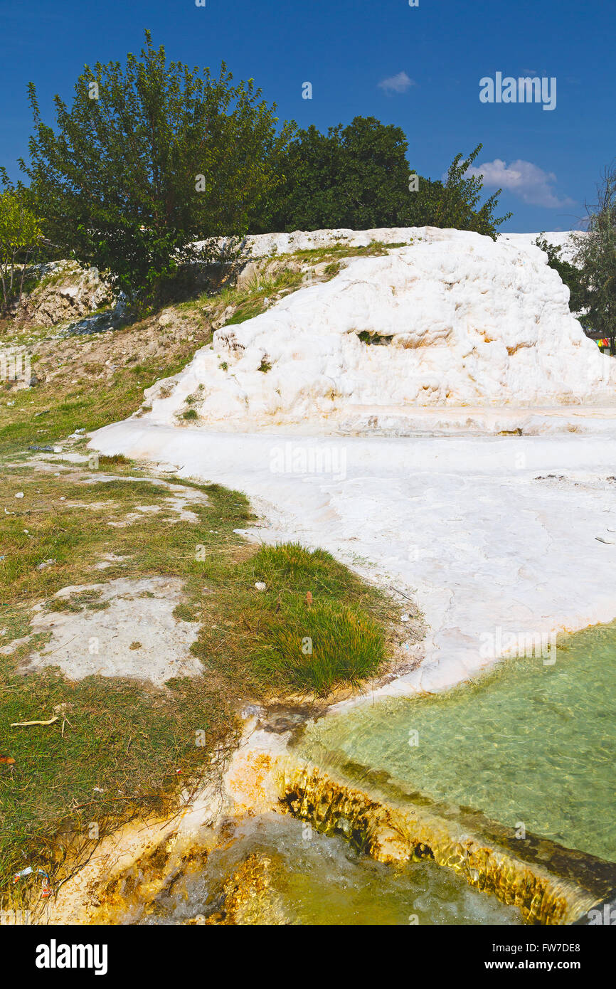 tree abstract in pamukkale turkey asia the old calcium bath and ...
