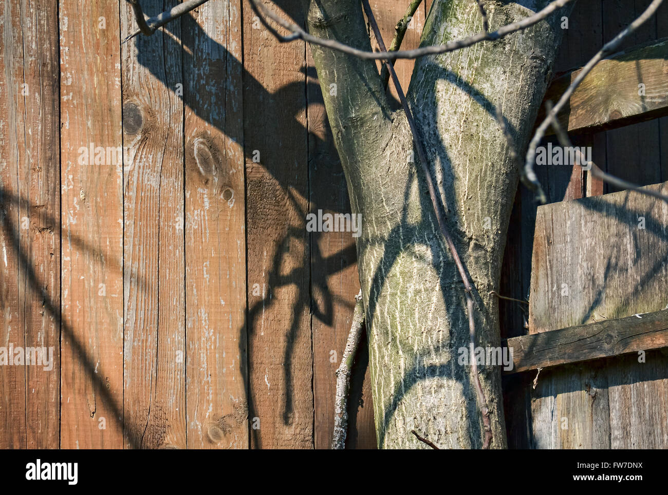 Composition with variants of wood for background Stock Photo - Alamy
