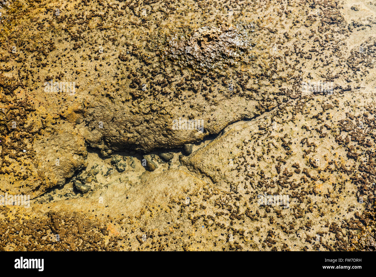 Eroded rocks with moss underwater sea Stock Photo - Alamy