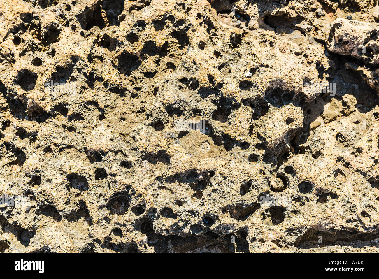 Eroded rocks with holes beside the sea Stock Photo - Alamy