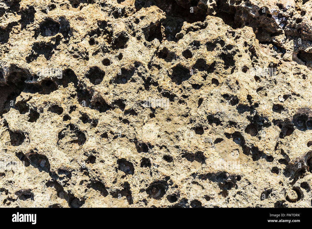 Eroded rocks with holes beside the sea Stock Photo - Alamy