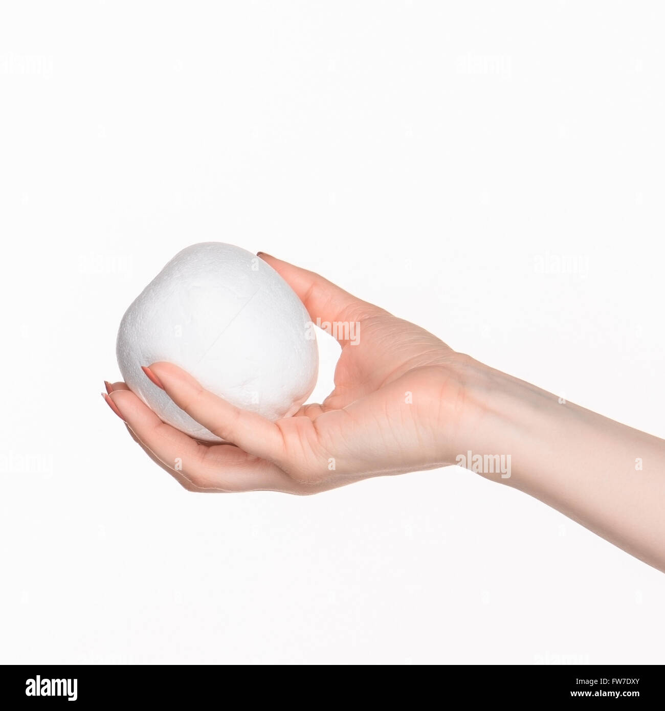 The female hand holding white blank styrofoam oval against the white ...