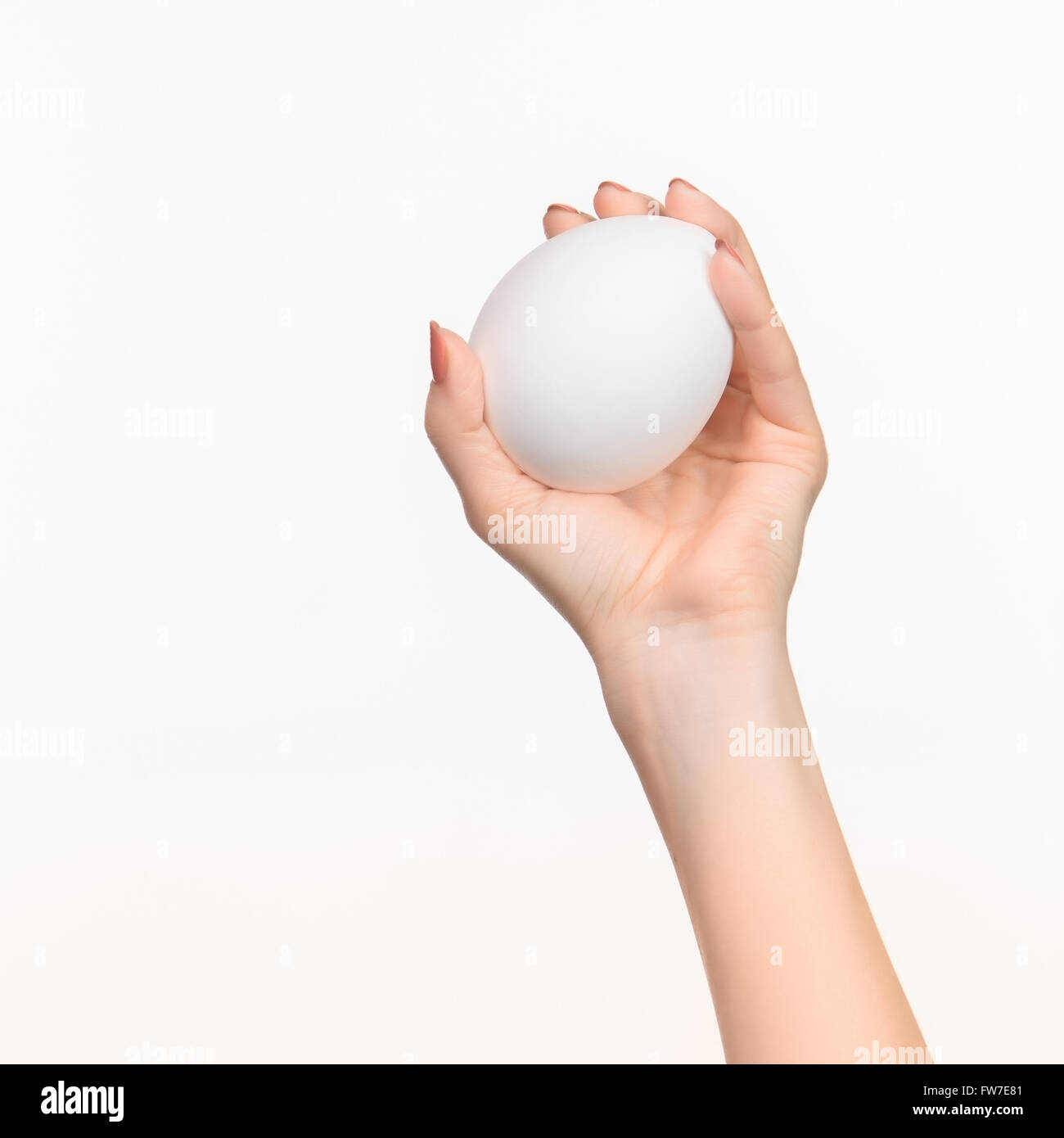 The female hand holding white blank styrofoam oval against the white ...
