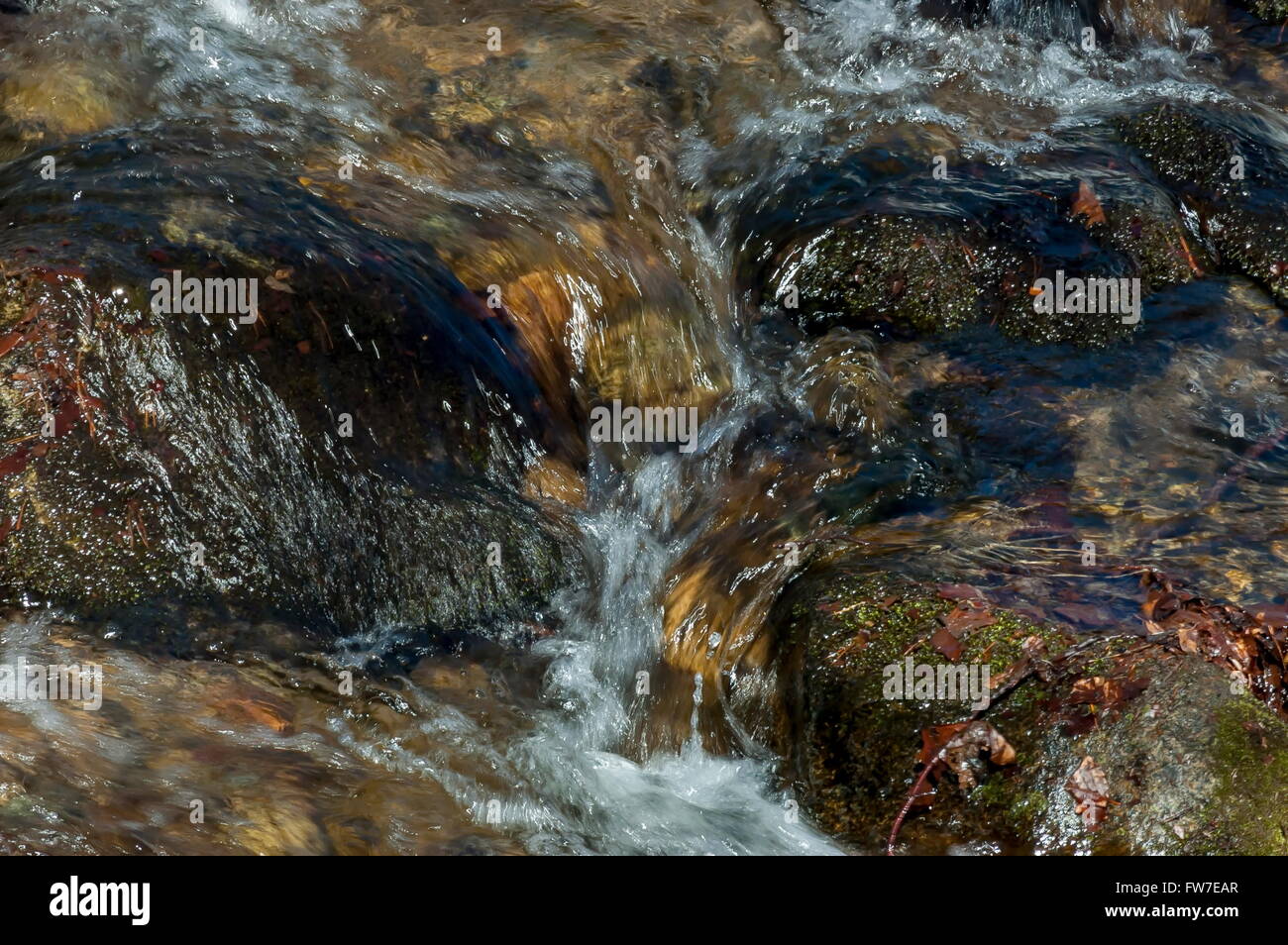 Cold fresh and clear water in river at winter Stock Photo - Alamy
