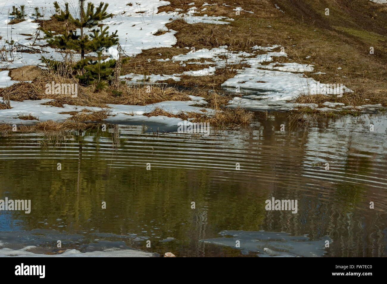 Small pond with water in winter Stock Photo - Alamy