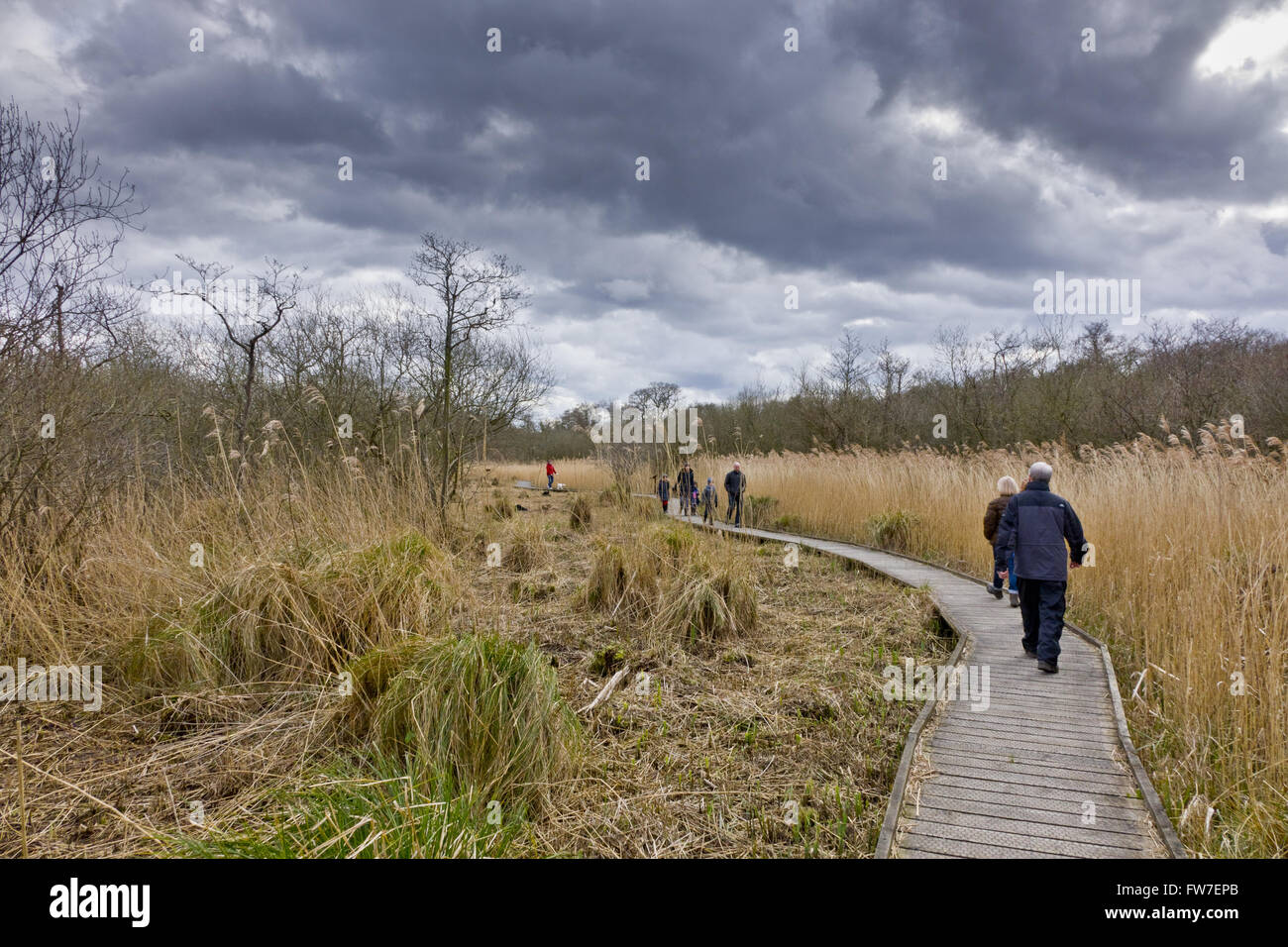 boardwalk path reeds nature reserve visitors Stock Photo - Alamy