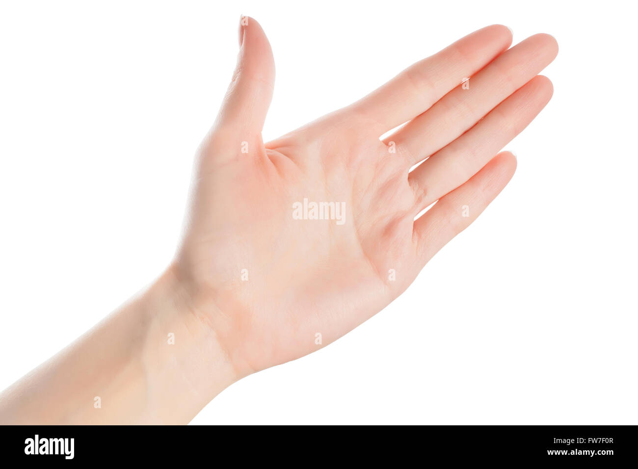 Woman hand in open gesture isolated on white background with clipping ...
