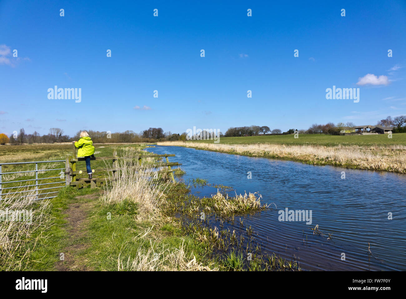 River Bure path footpath walk Stock Photo - Alamy