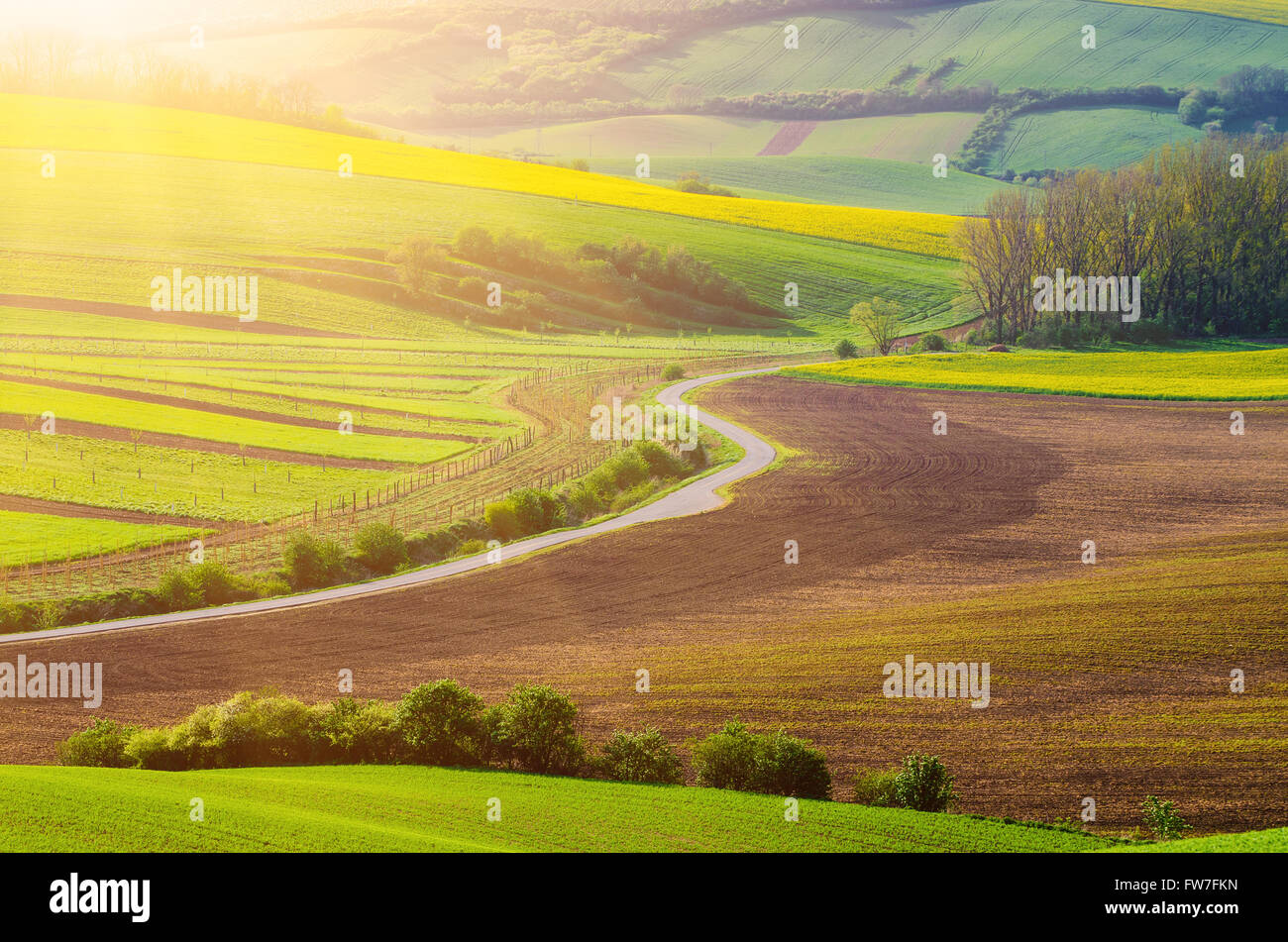 Rural landscape with road Stock Photo - Alamy
