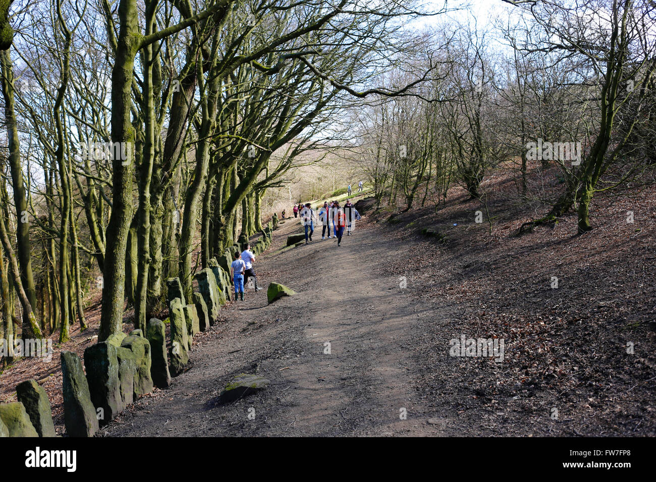 Chevin Woods, at Chevin Forest Park, Otley, West Yorkshire Stock Photo ...
