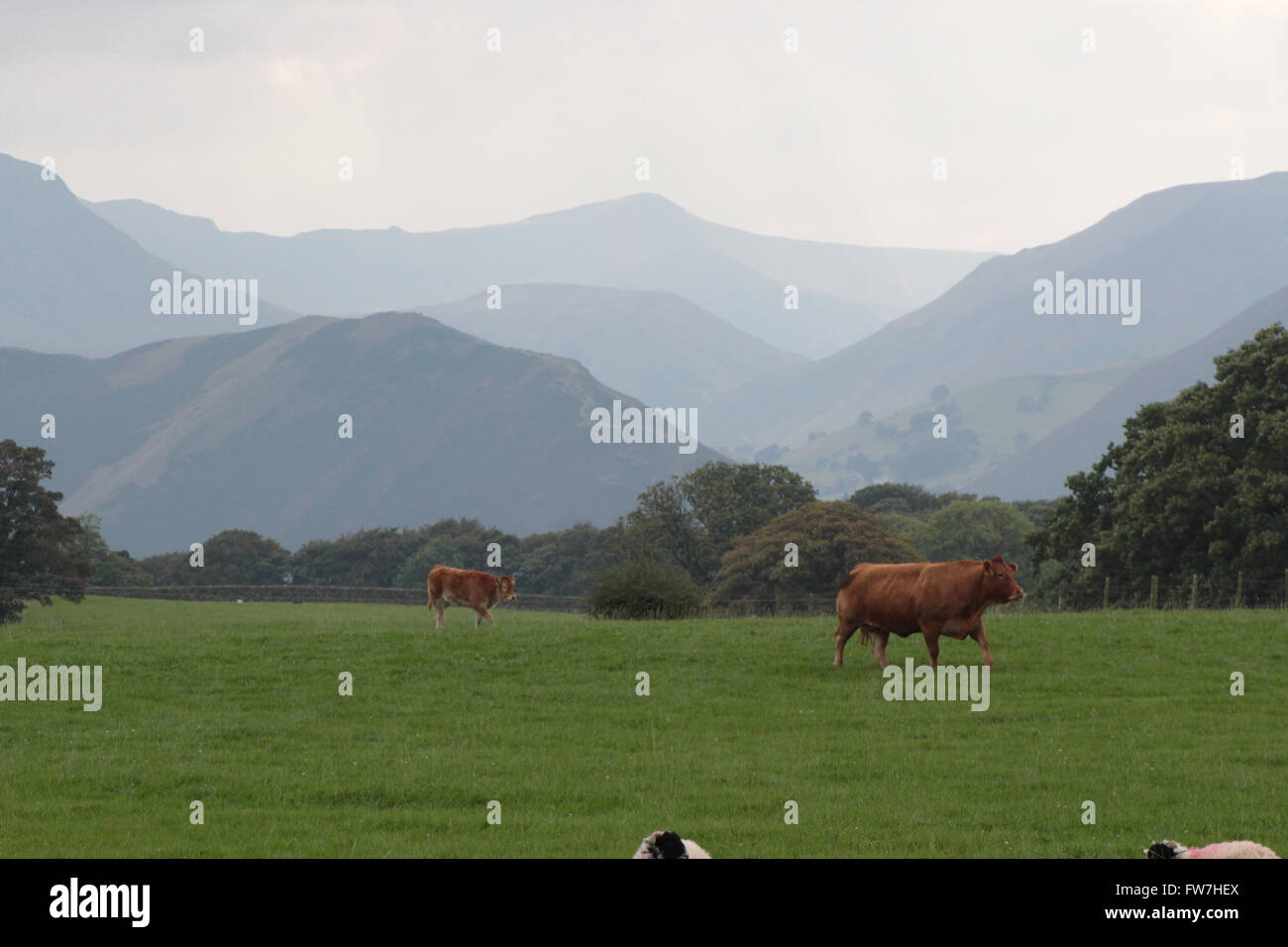 Spectacular England countryside, near Castlerigg, the Lake District ...