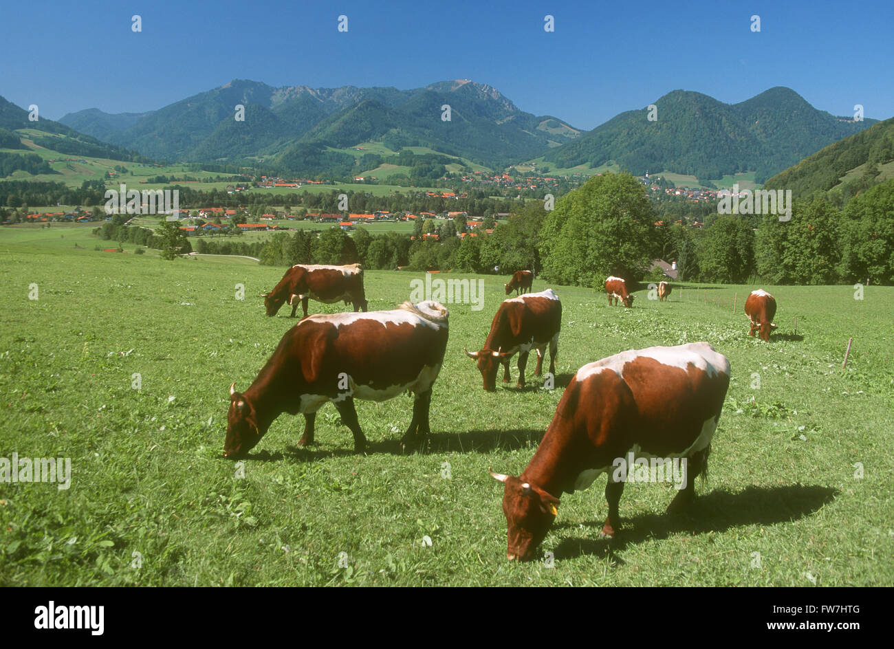 Germany bavaria alpine hi-res stock photography and images - Alamy
