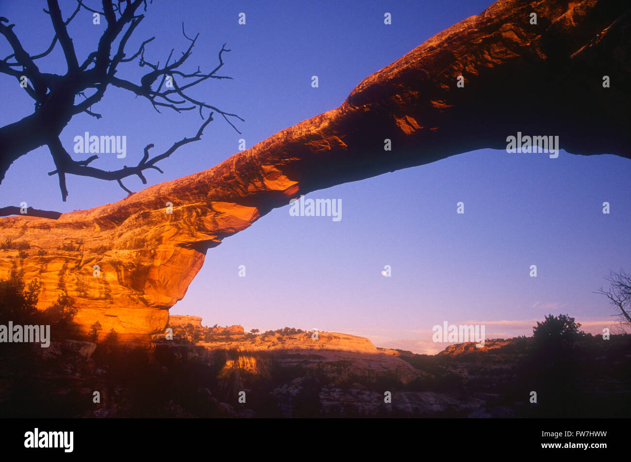 Owachomo Bridge, Natural Bridges National Monument, Utah, U.S.A Stock ...