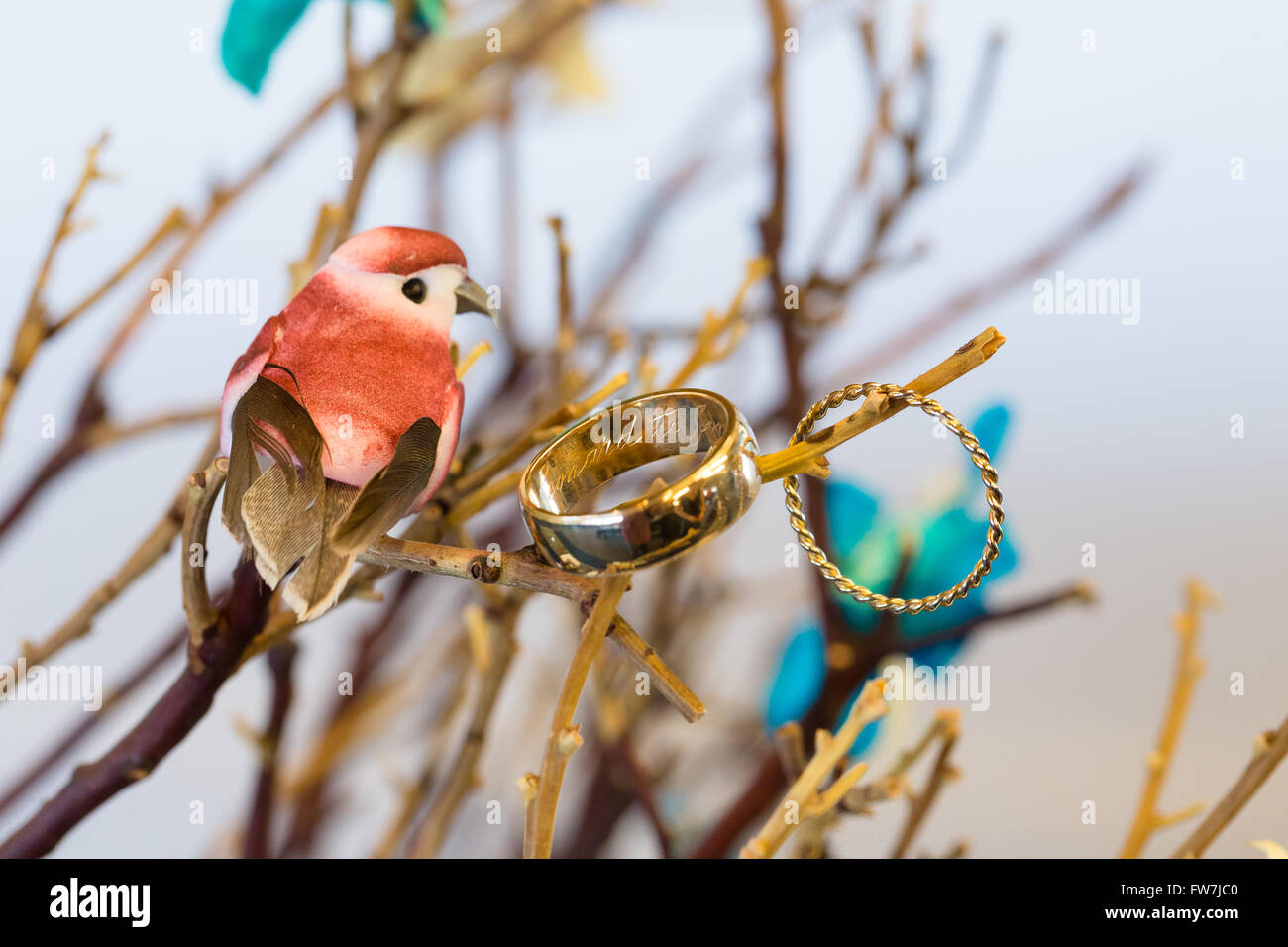 Love birds hi-res stock photography and images - Alamy