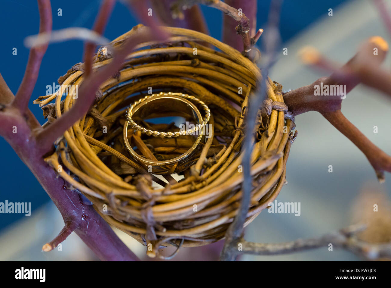 Love birds hi-res stock photography and images - Alamy
