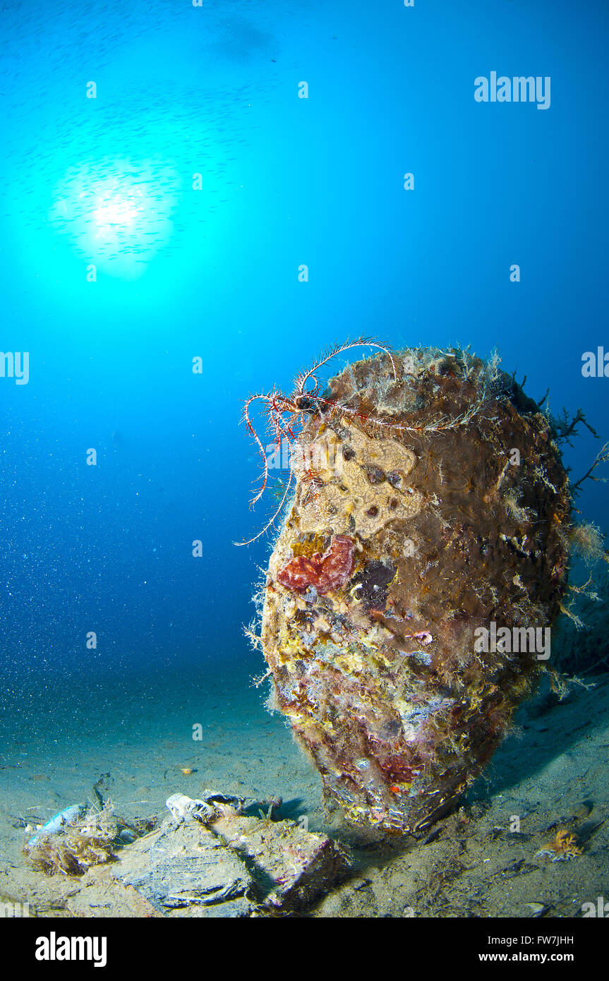Underwater landscape in red sea hi-res stock photography and images - Alamy