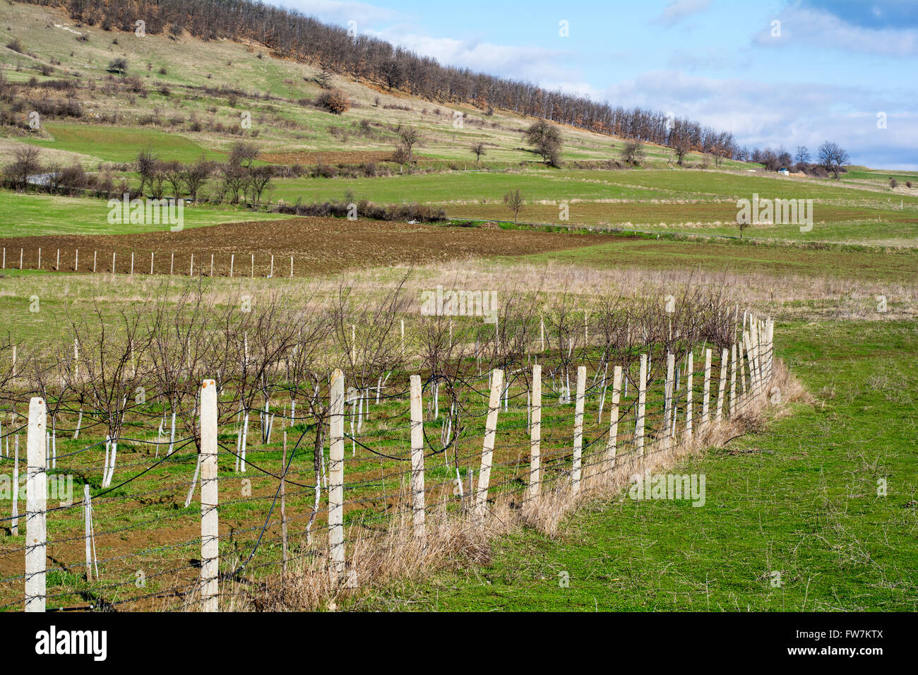 Garden with fruit trees enclosed by concrete stakes Stock Photo - Alamy