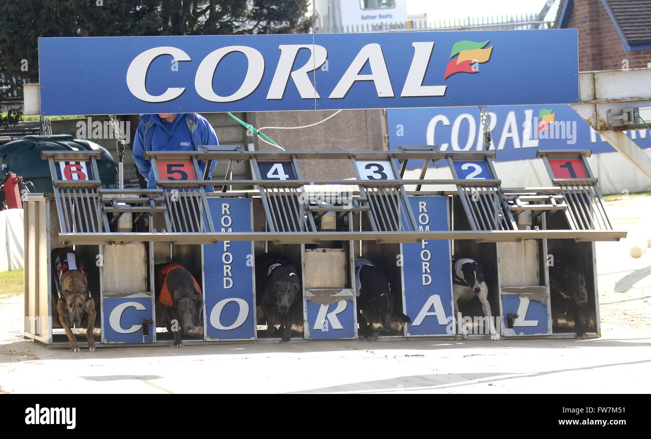 March 30, 2016 - Coral Romford Greyhound Stadium racing Stock Photo - Alamy
