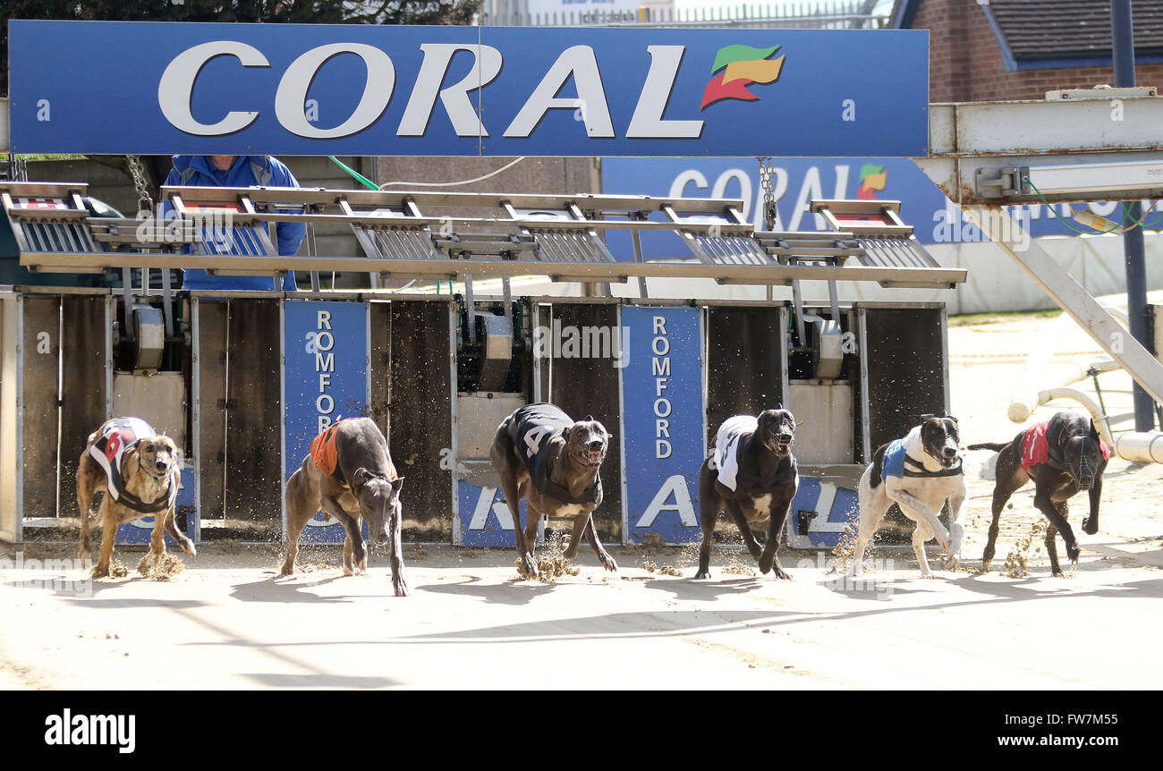 March 30, 2016 - Coral Romford Greyhound Stadium racing Stock Photo - Alamy