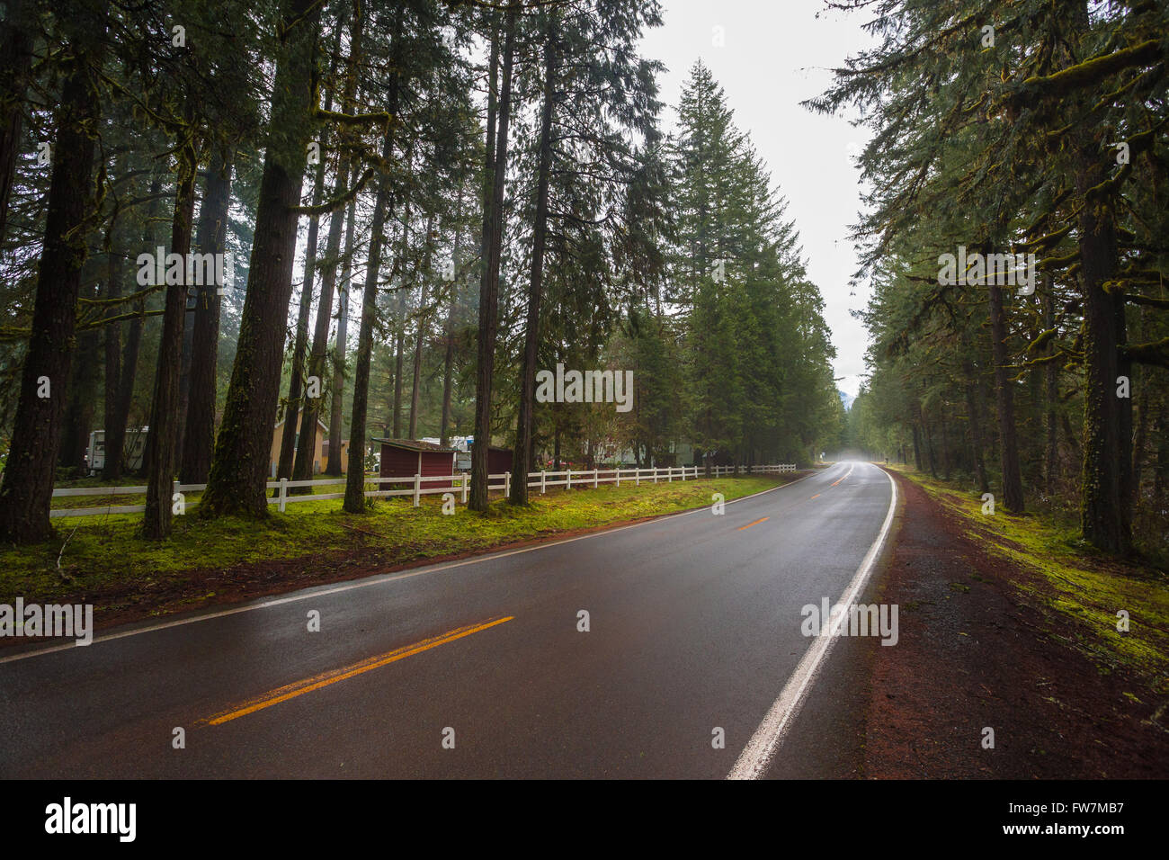 Oregon forest with a rural highway running through it Stock Photo - Alamy