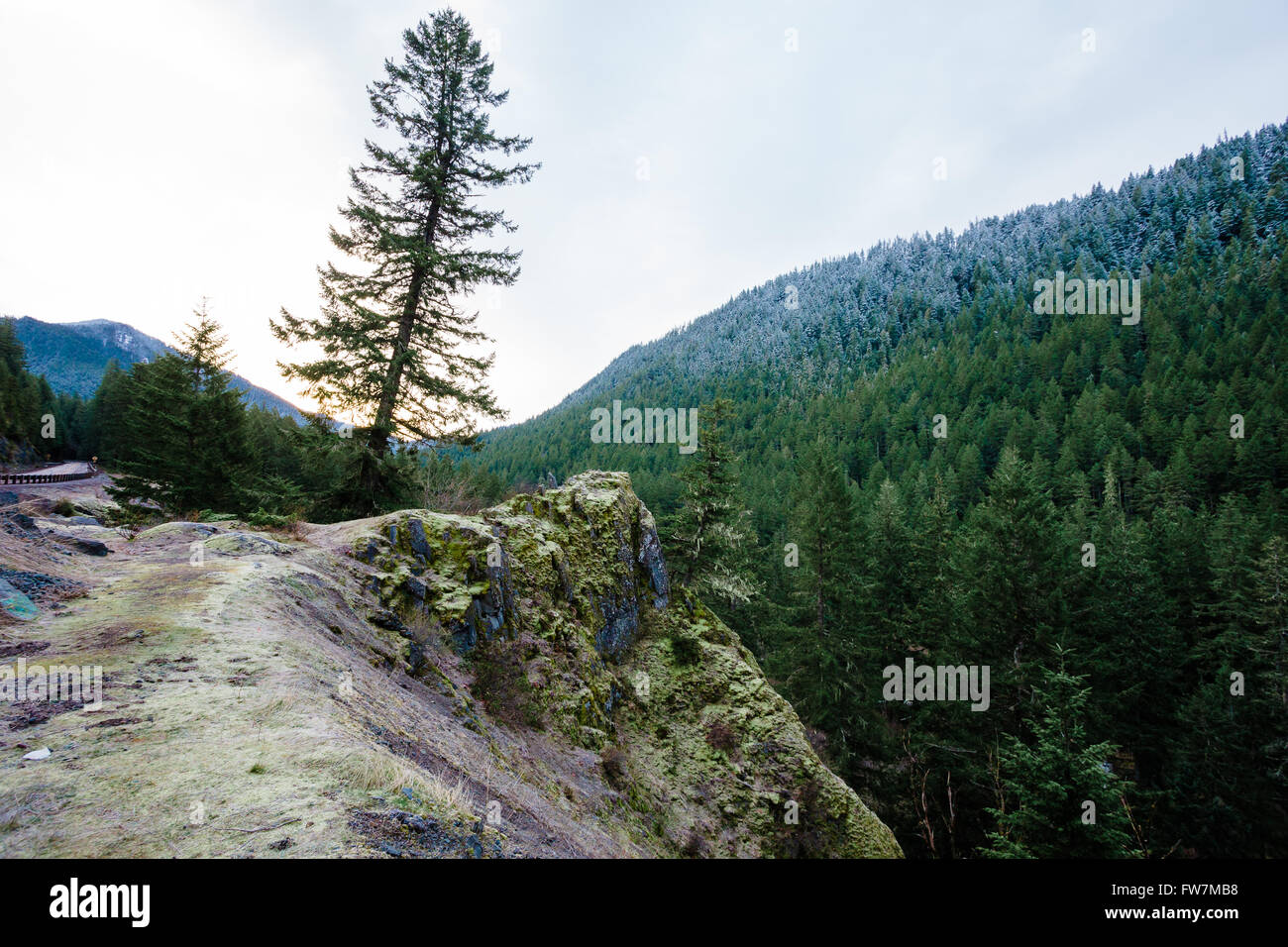 Large rock outcropping overlooking a 200 foot drop amidst the ...