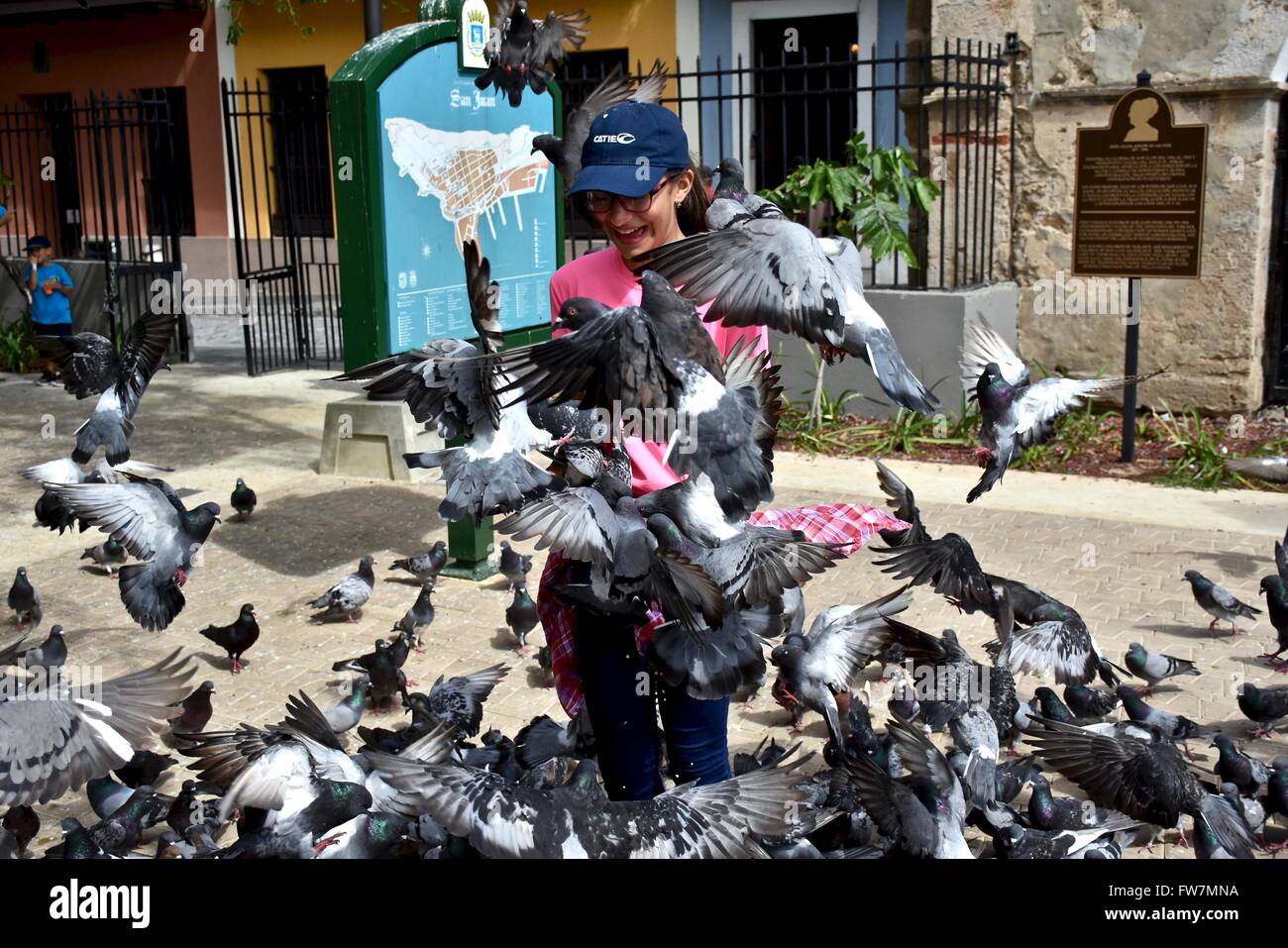 Feeding pigeons at pigeon park in Old San Juan, Puerto Rico Stock Photo ...