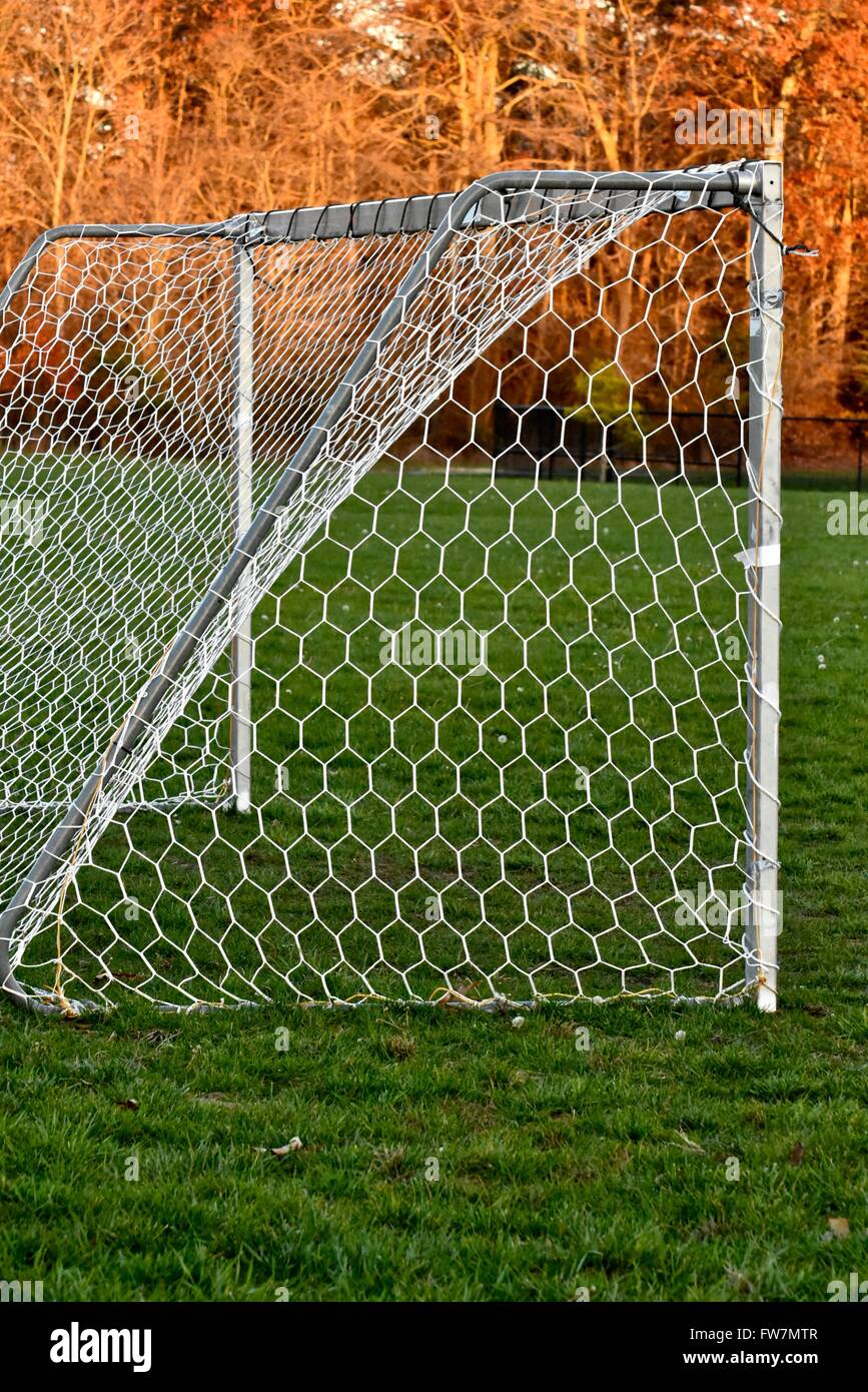 Soccer goal in a field during fall season Stock Photo - Alamy