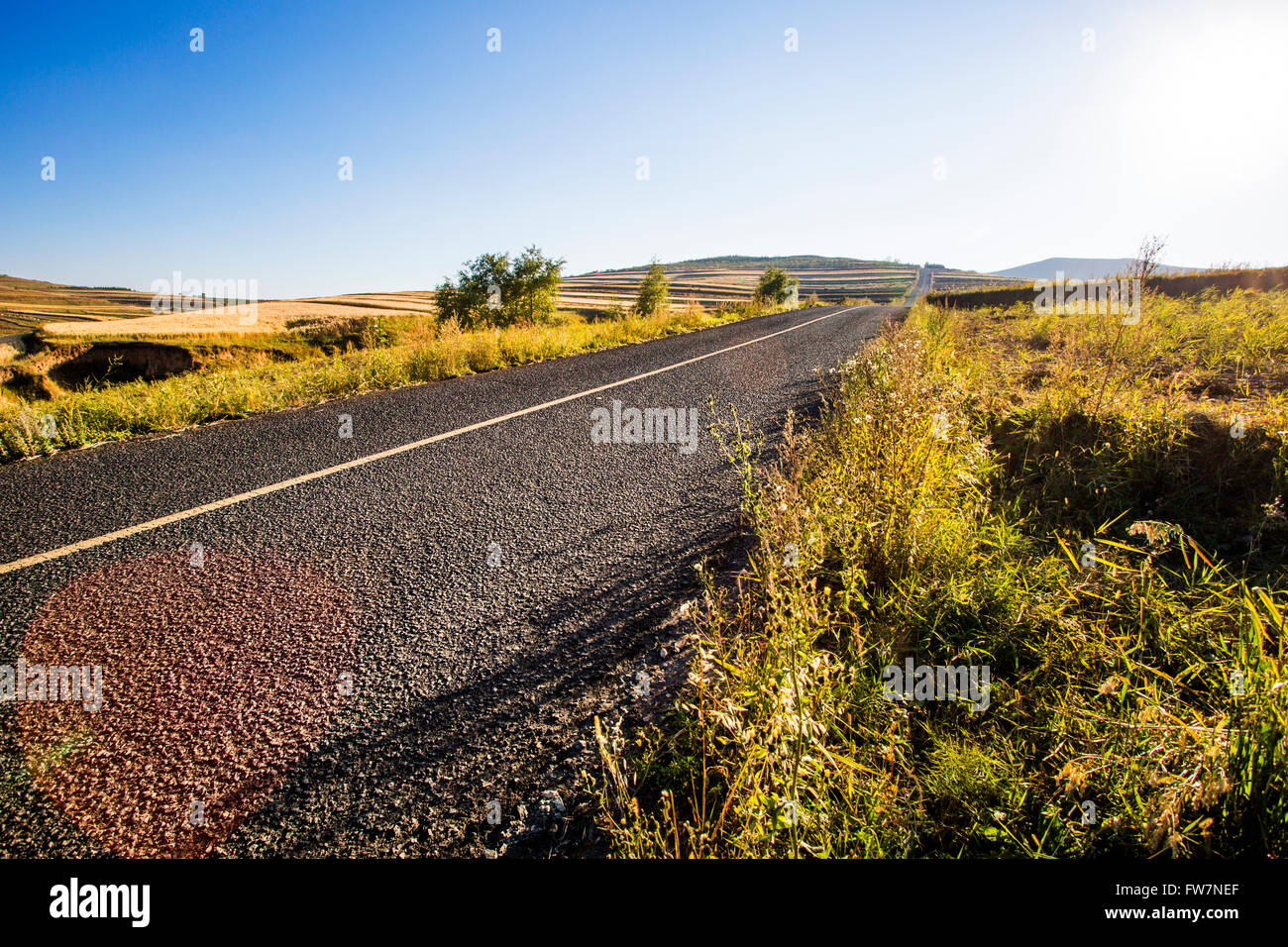 Grassland scenery in Hebei province, China Stock Photo - Alamy
