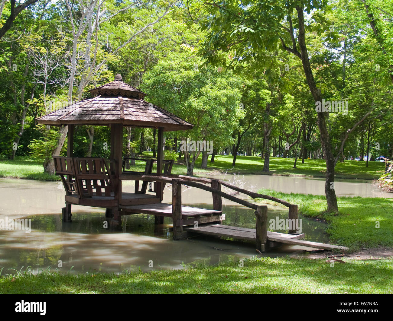 Paludal hi-res stock photography and images - Alamy